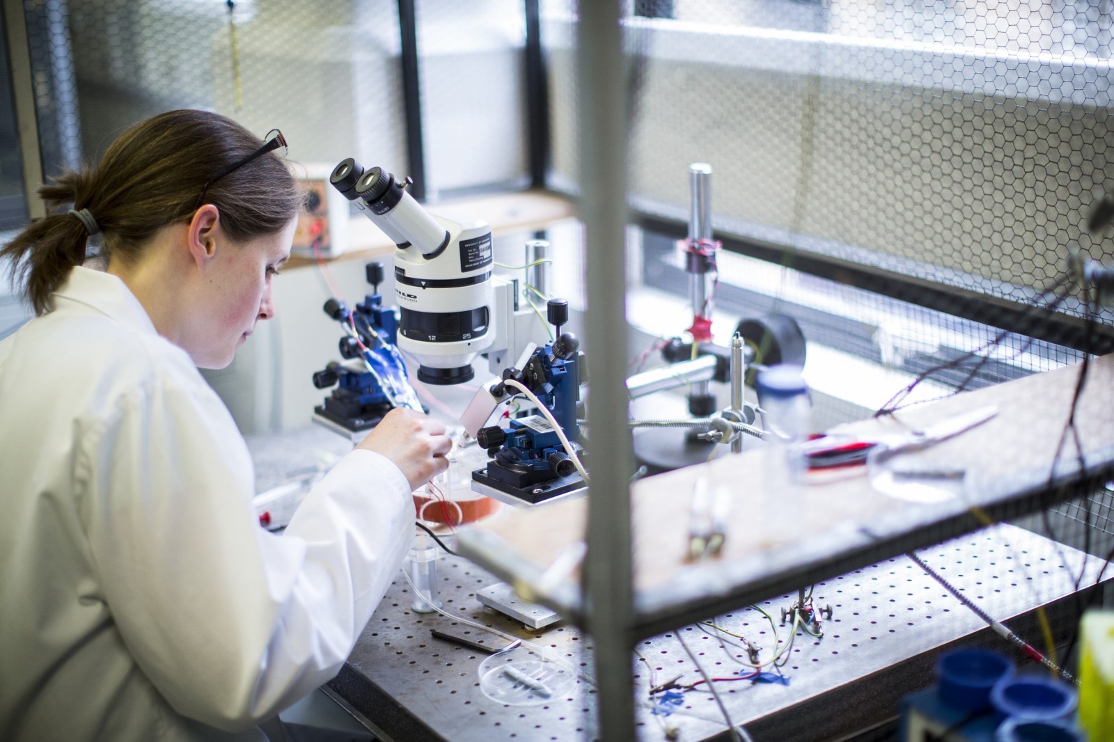 Cancer study to ease plight of people at advanced stages of illness ...